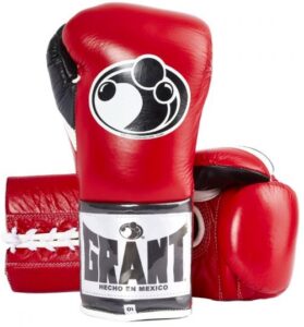 Las Mejores Marcas de Guantes de Boxeo | Guía 2026